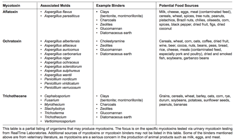 Toxin binders: all your questions answered - Julie's healing